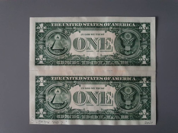 Spider On Dollar Bill