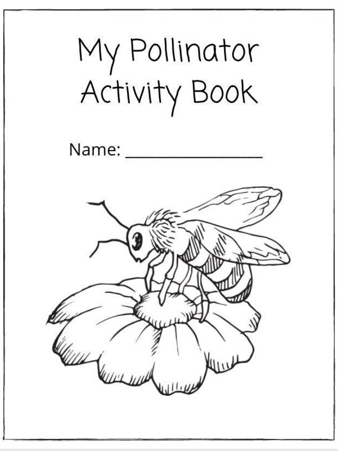 Pollinator Activity Book - Etsy