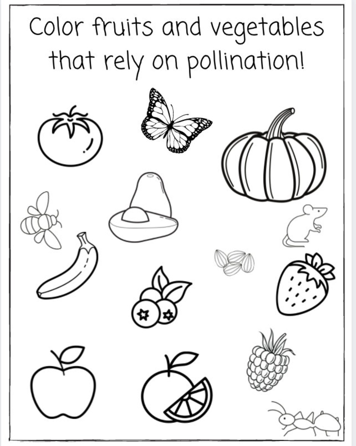 Pollinator Activity Book - Etsy