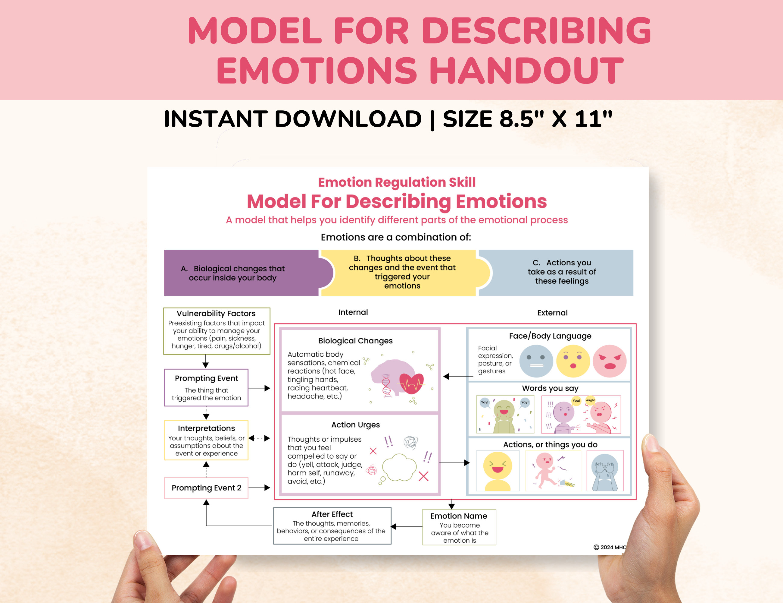 Dbt Model Of Emotions Model For Describing Emotions Emotion Regulation