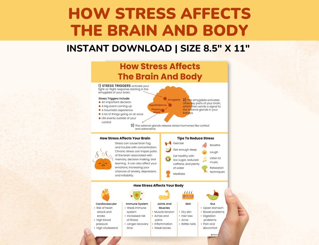 How Stress Affects the Brain and Body Therapy Poster - Etsy