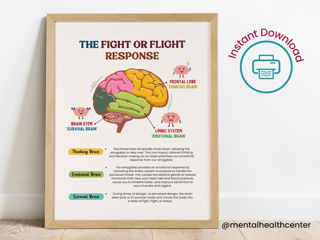 The Fight or Flight Response-brain Anatomy Anxiety-dbt-trauma-ptsd ...