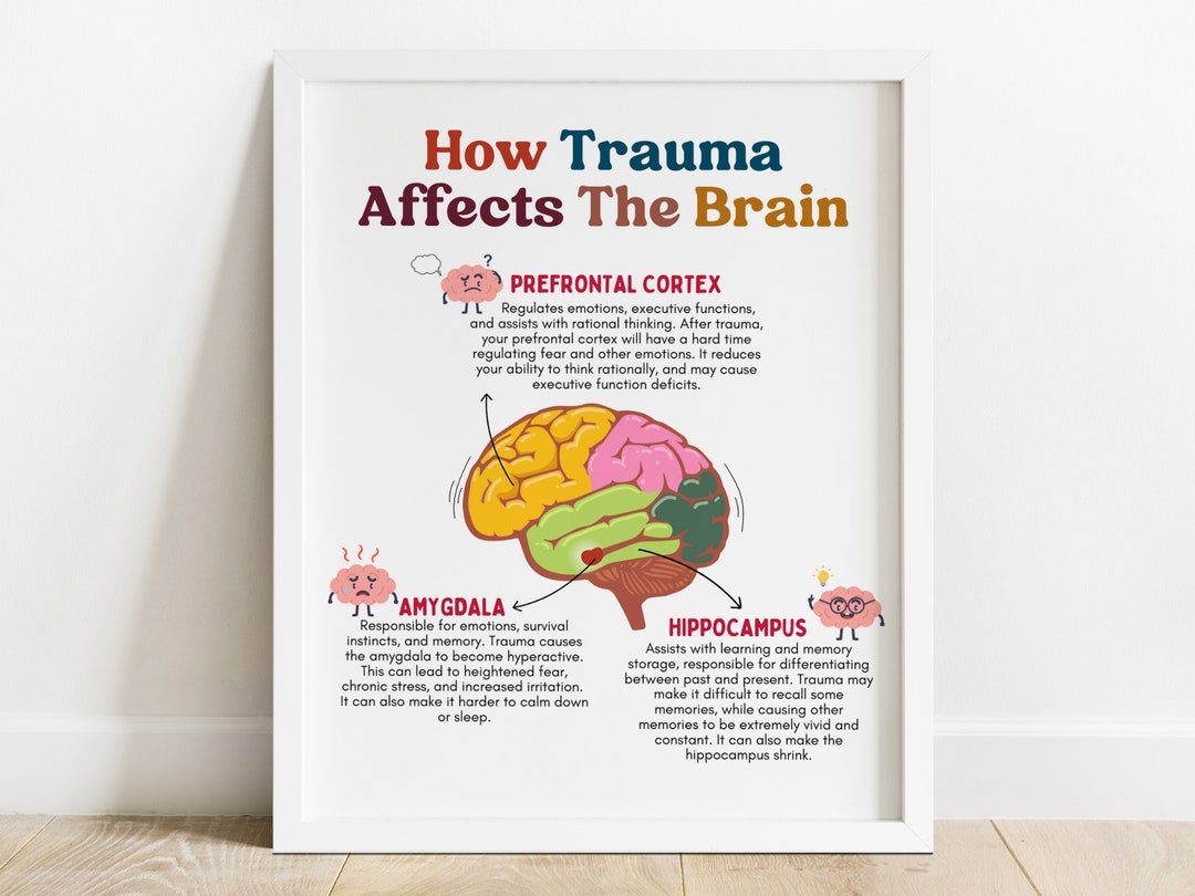 How Trauma Affects the Brain Poster, PTSD, EMDR, Therapist Wall Art ...