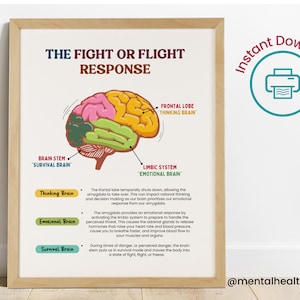 Trauma Therapy the Fight or Flight Response-ptsd Teen Mental Health ...