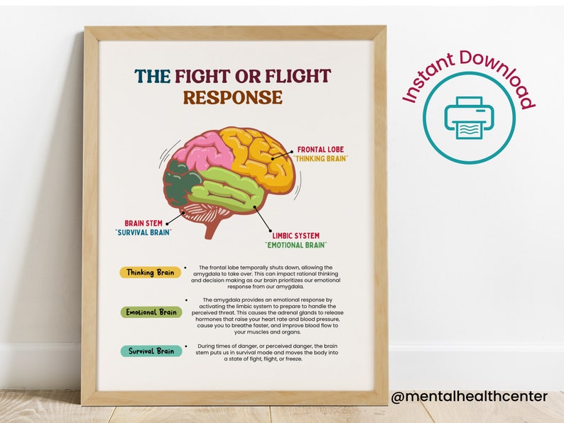 Trauma Therapy the Fight or Flight Response Teen Mental - Etsy