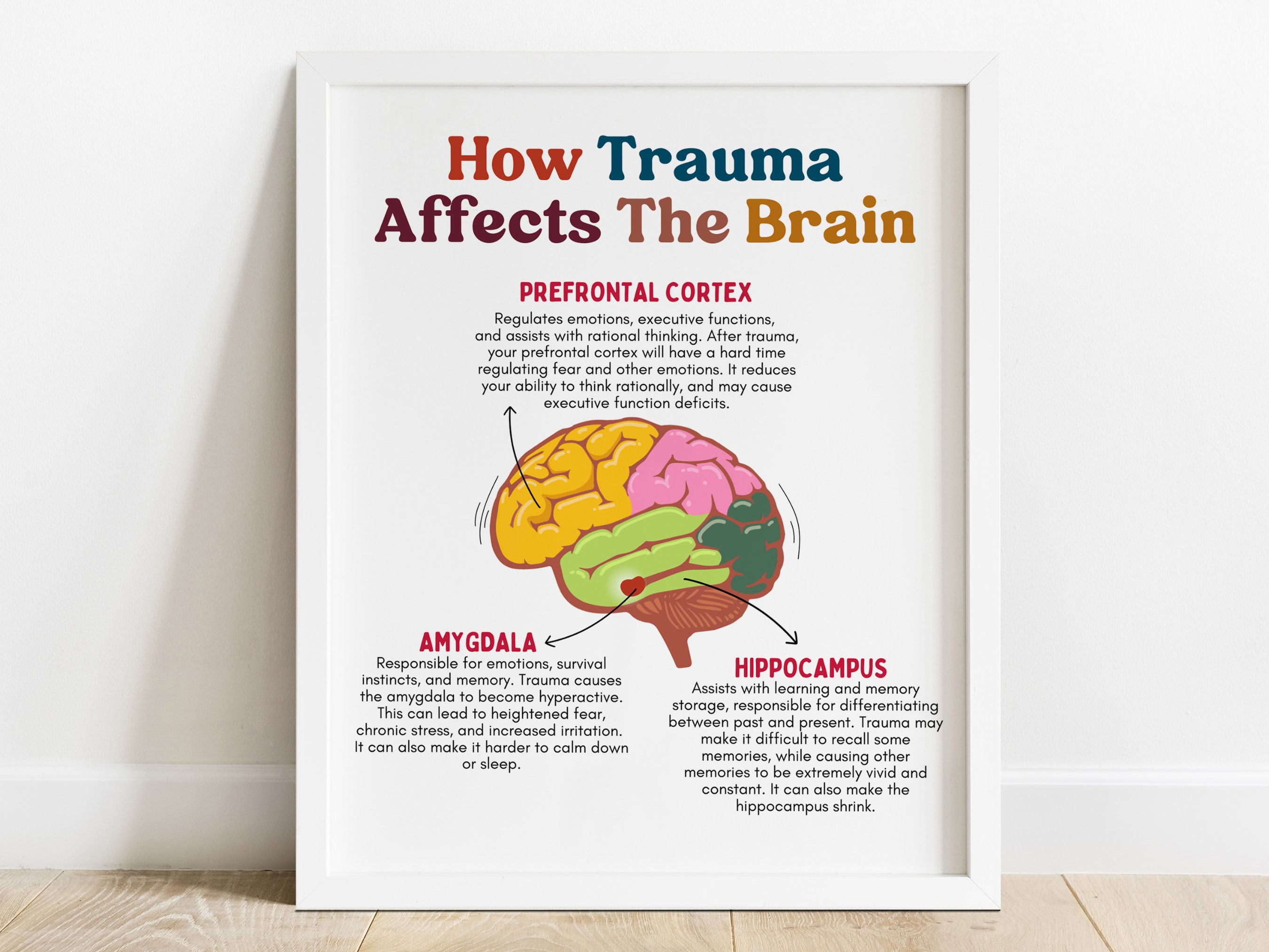 How Trauma Affects the Brain Poster Printable Therapy Wall - Etsy