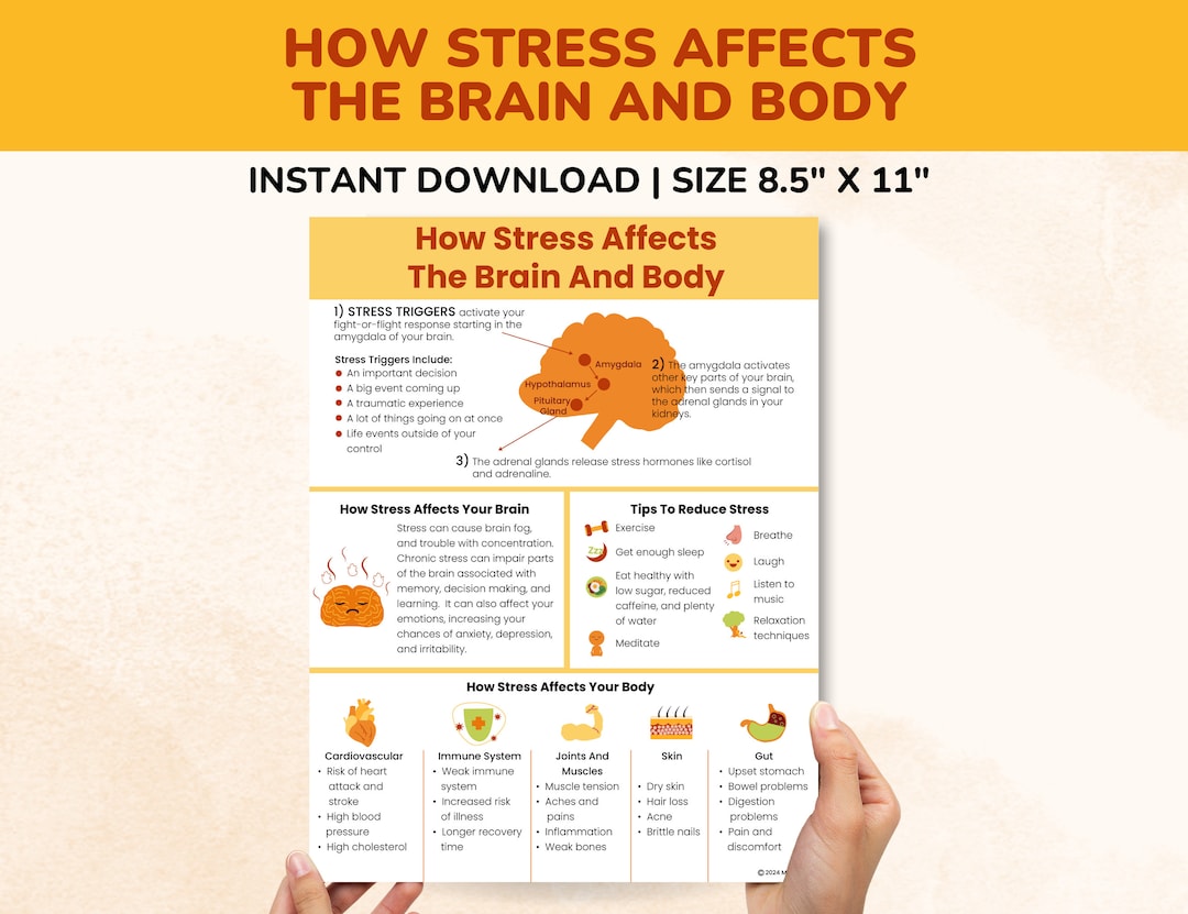 How Stress Affects the Brain and Body Therapy Poster - Etsy