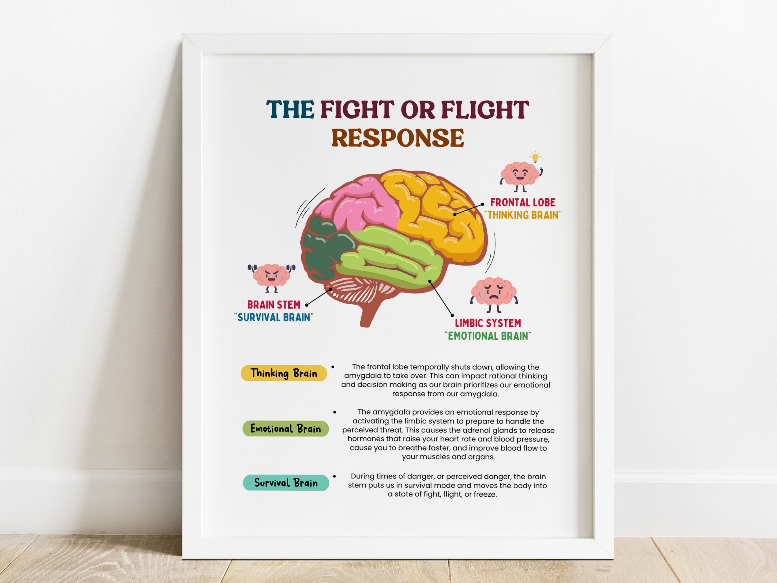 The Fight or Flight Response-brain Anatomy Anxiety-dbt-trauma-ptsd ...