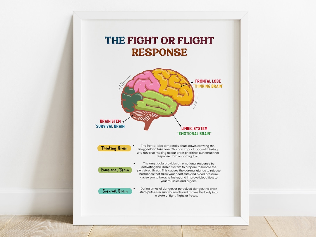 Trauma Therapy the Fight or Flight Response-ptsd Teen Mental Health ...