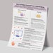 Cyberbullying Coping Strategies Poster-social Skills for Kids Teens ...