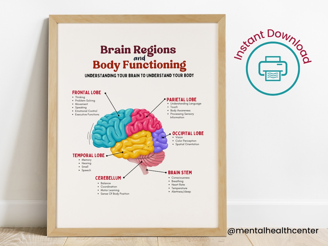 Brain Science Poster-brain Anatomy Print-therapy Office Decor Printable ...