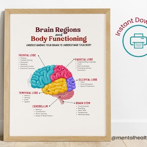 Brain Science Poster-brain Anatomy Print-therapy Office Decor Printable ...