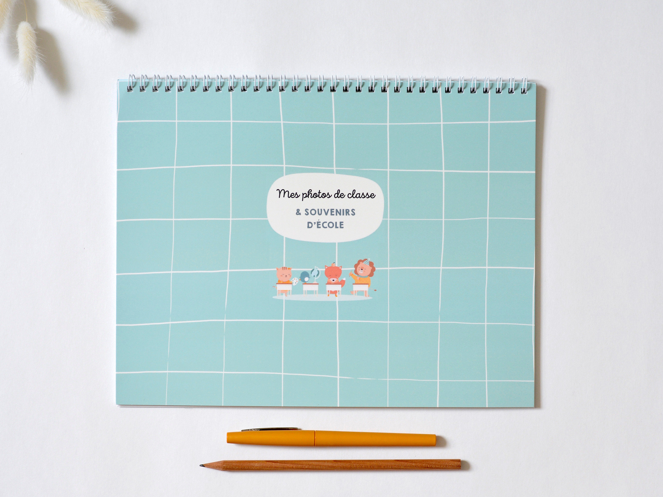 Class Photo Book - From Kindergarten to Primary School - School Memory ...