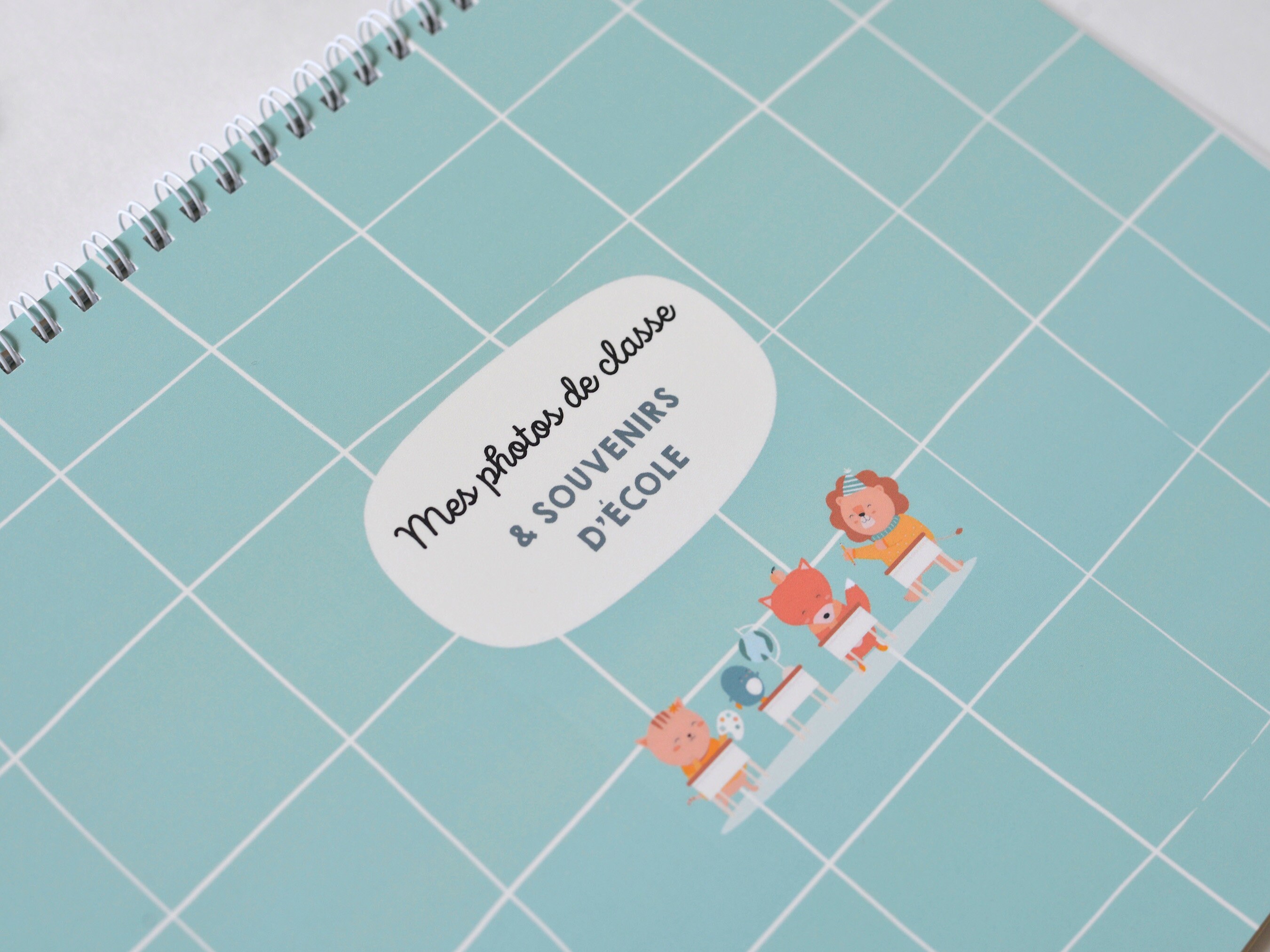 Class Photo Book - From Kindergarten to Primary School - School Memory ...