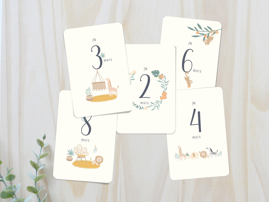 Carte Étapes Bébé - Première Année - 12 Mois - DOUCE SAVANE - Etsy France