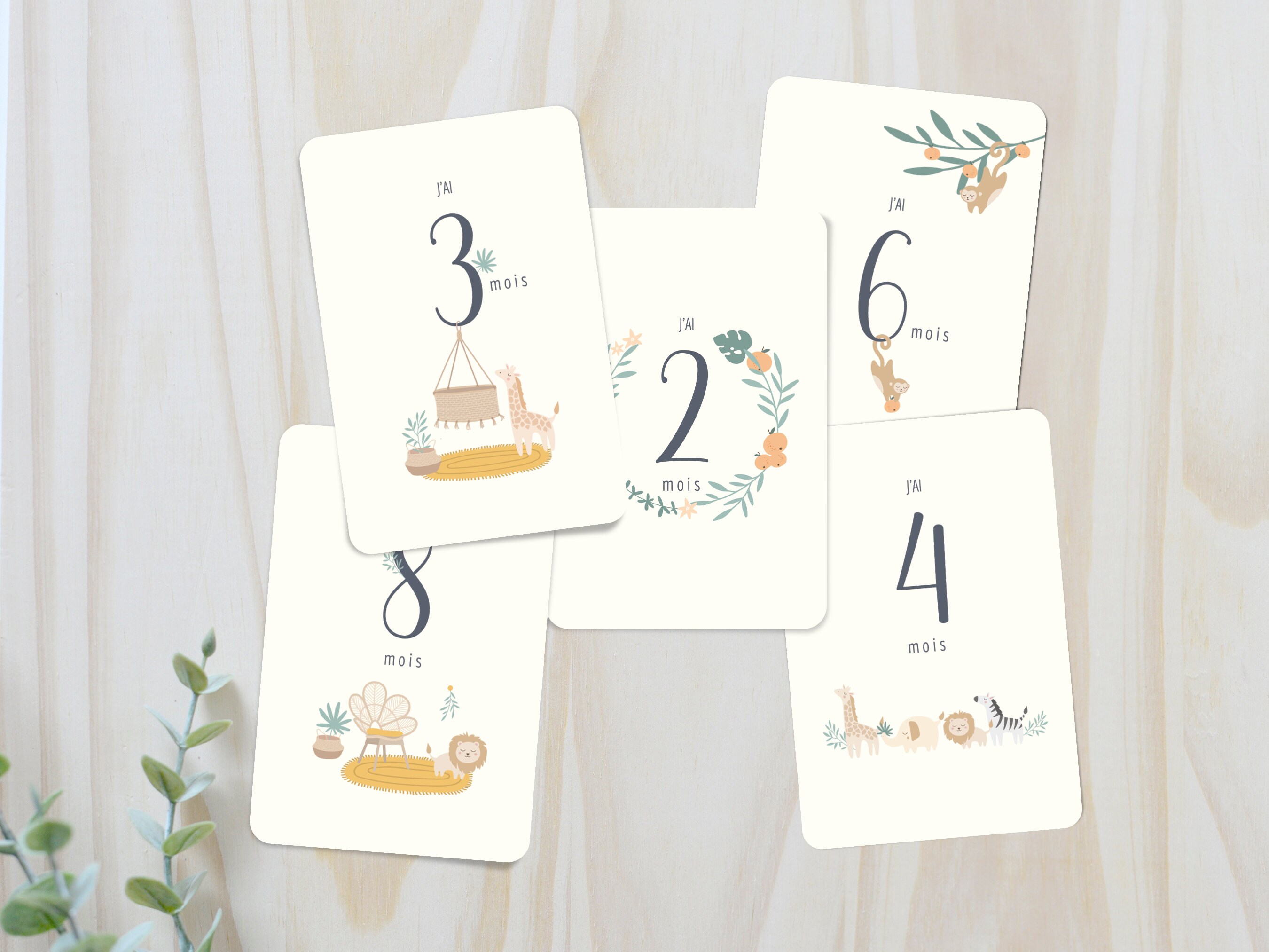 Carte Étapes Bébé - Première Année - 12 Mois - DOUCE SAVANE - Etsy France