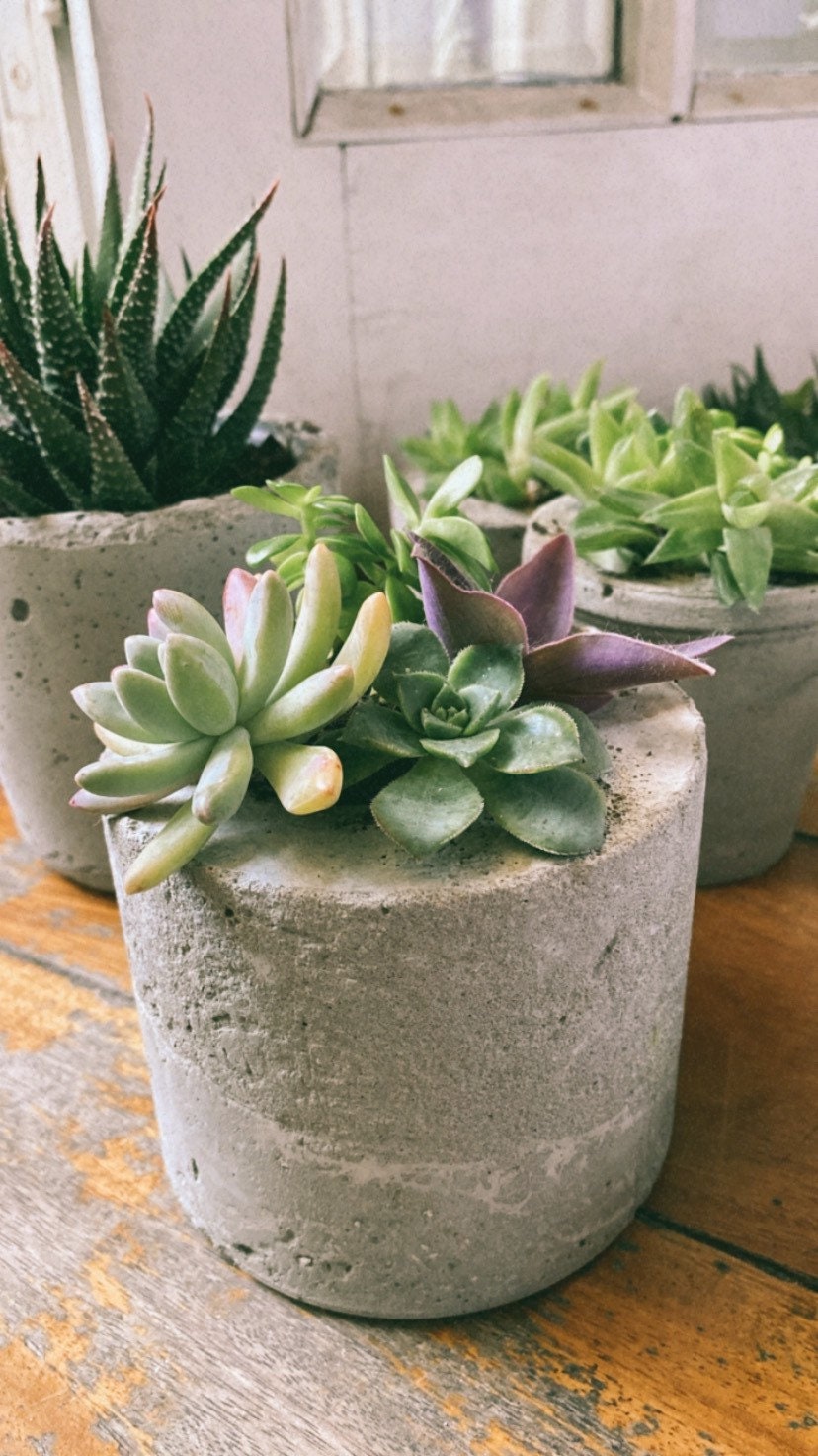 Concrete Flowerpot Pot Plant Pots or Planter for an - Etsy