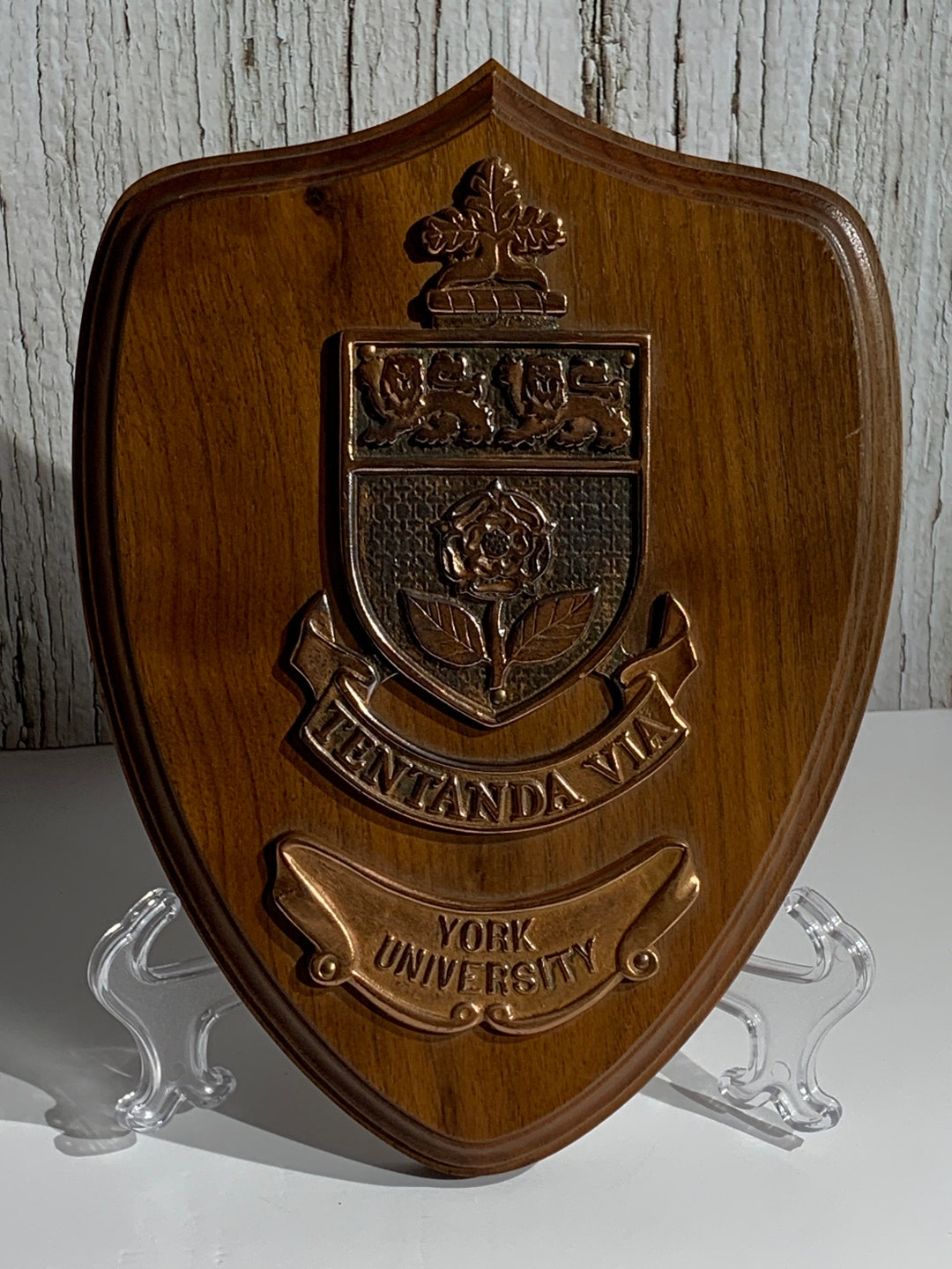 York University Toronto Bronze and Wood Plaque - Etsy