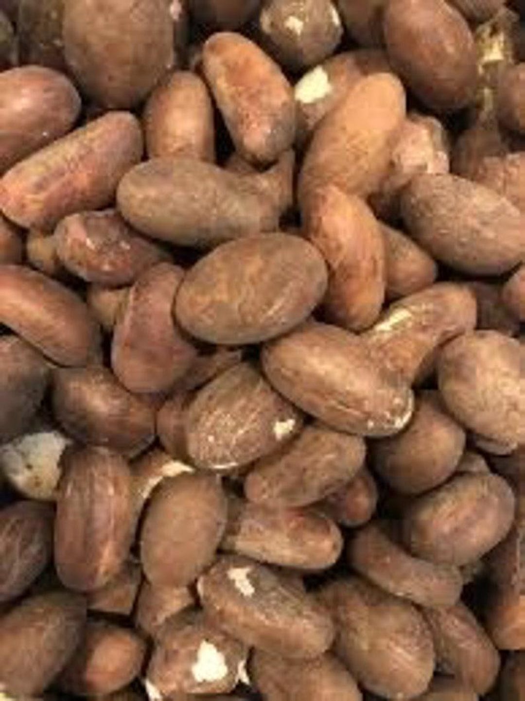 Bitter Kola Nut ( Garcinia Kola) 0.5lbs/1lbs Bag Available - Etsy