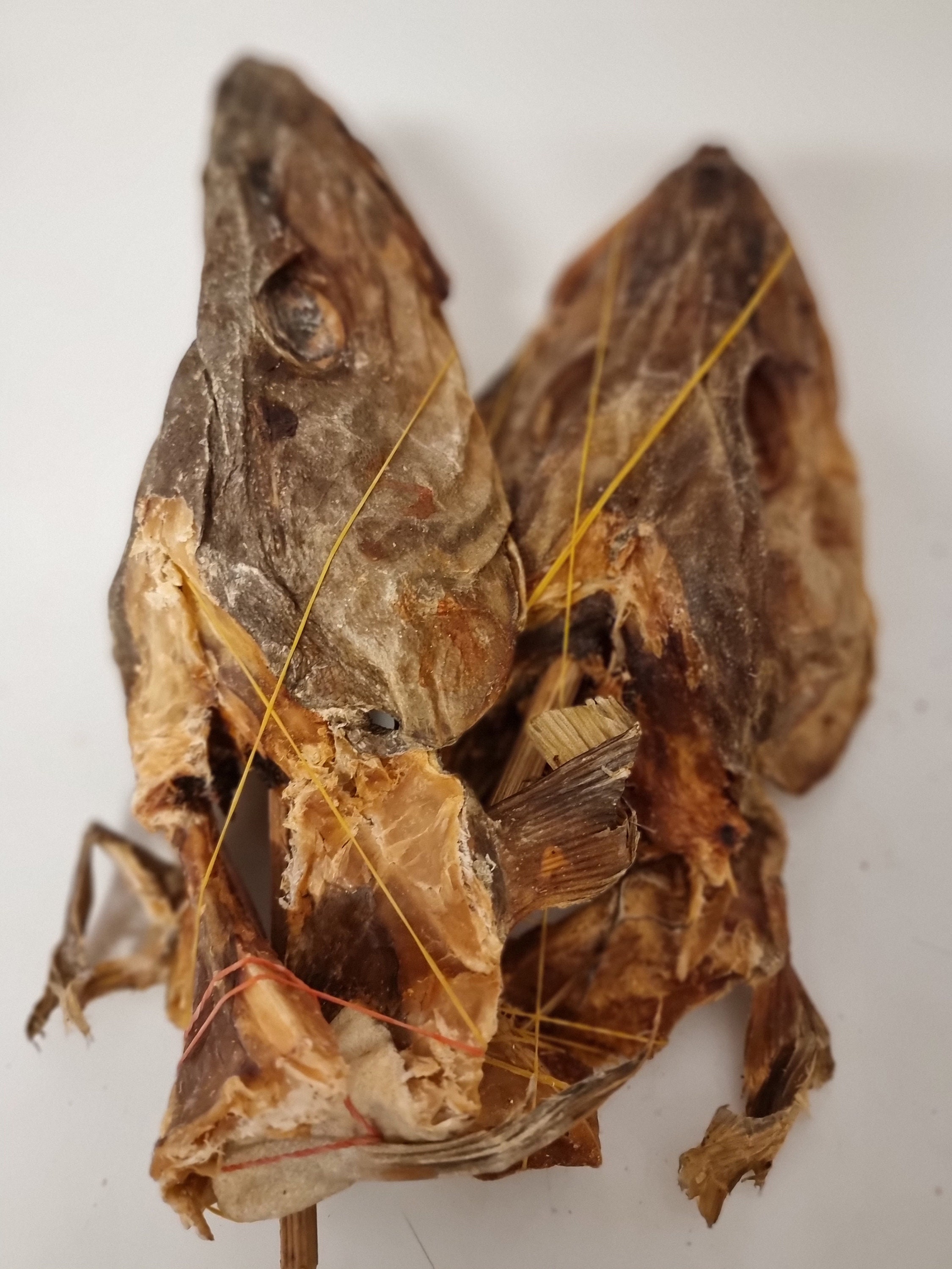 Stockfish Head With Ears (okporoko/apama) - Etsy