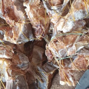 STOCKFISH ROUND Cut Shape 6pieces OKPOROKO 8oz/ - Etsy