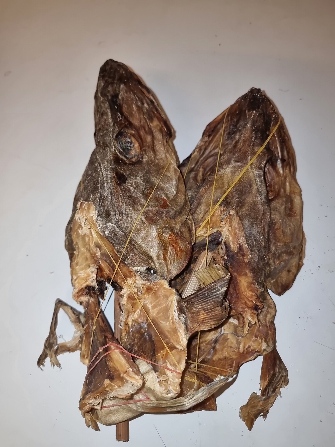 Stockfish Head With Ears Okporoko Head With Ears / Apama - Etsy