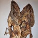 Stockfish Head With Ears ( Okporoko Head With Ears / Apama - Etsy