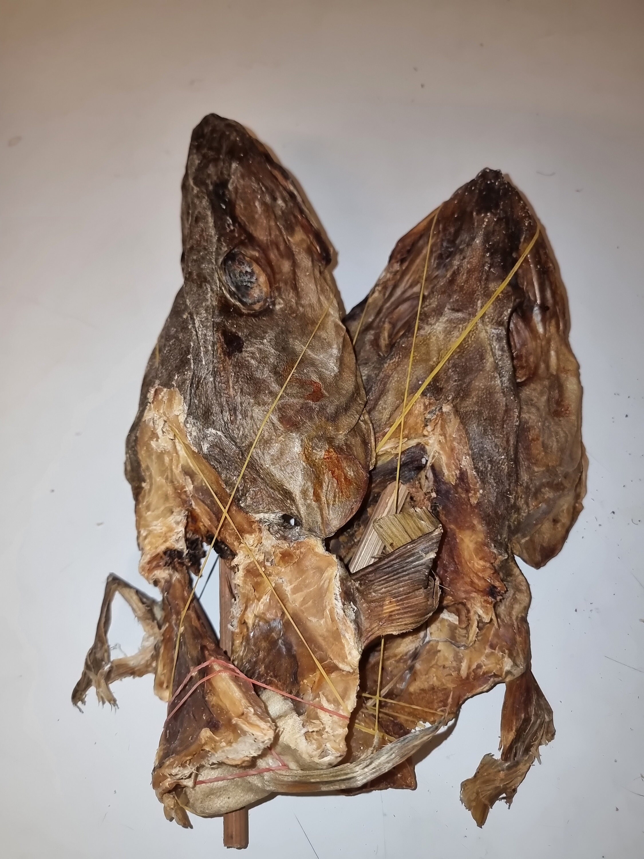 Stockfish Head With Ears Okporoko Head With Ears / Apama - Etsy