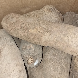 New Yam/ New Stock July 2025/ Soft Yam/ghana Yam/ African Yam 1tuber ...