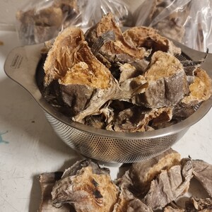STOCKFISH ROUND Cut Shape 6pieces OKPOROKO 8oz/ - Etsy
