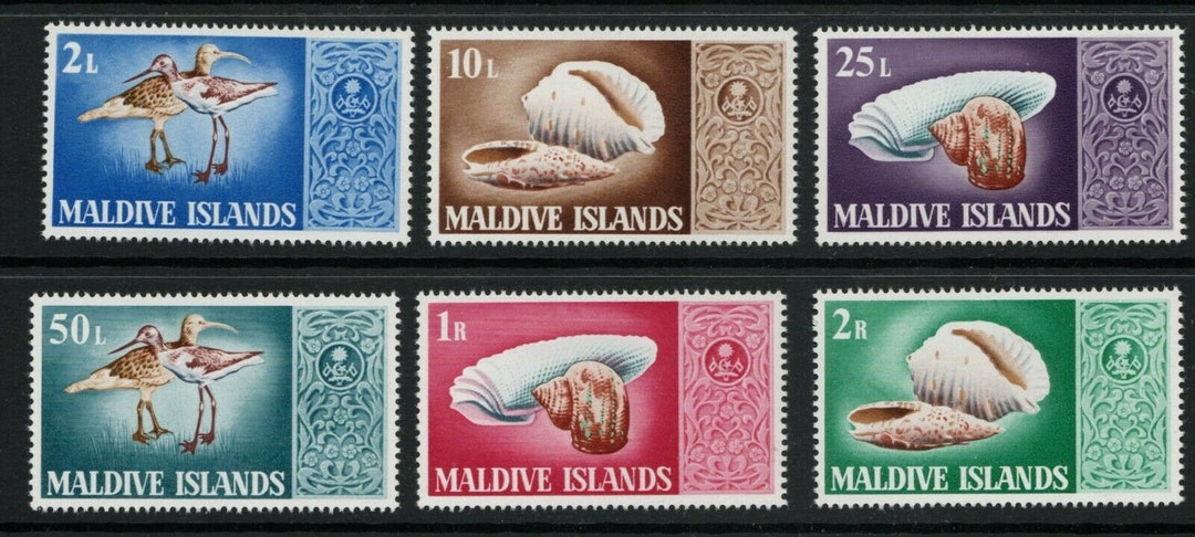 Maldives 1968 Waterfowl, Mussels and Sea Shells Stamp Set U/M - Etsy UK