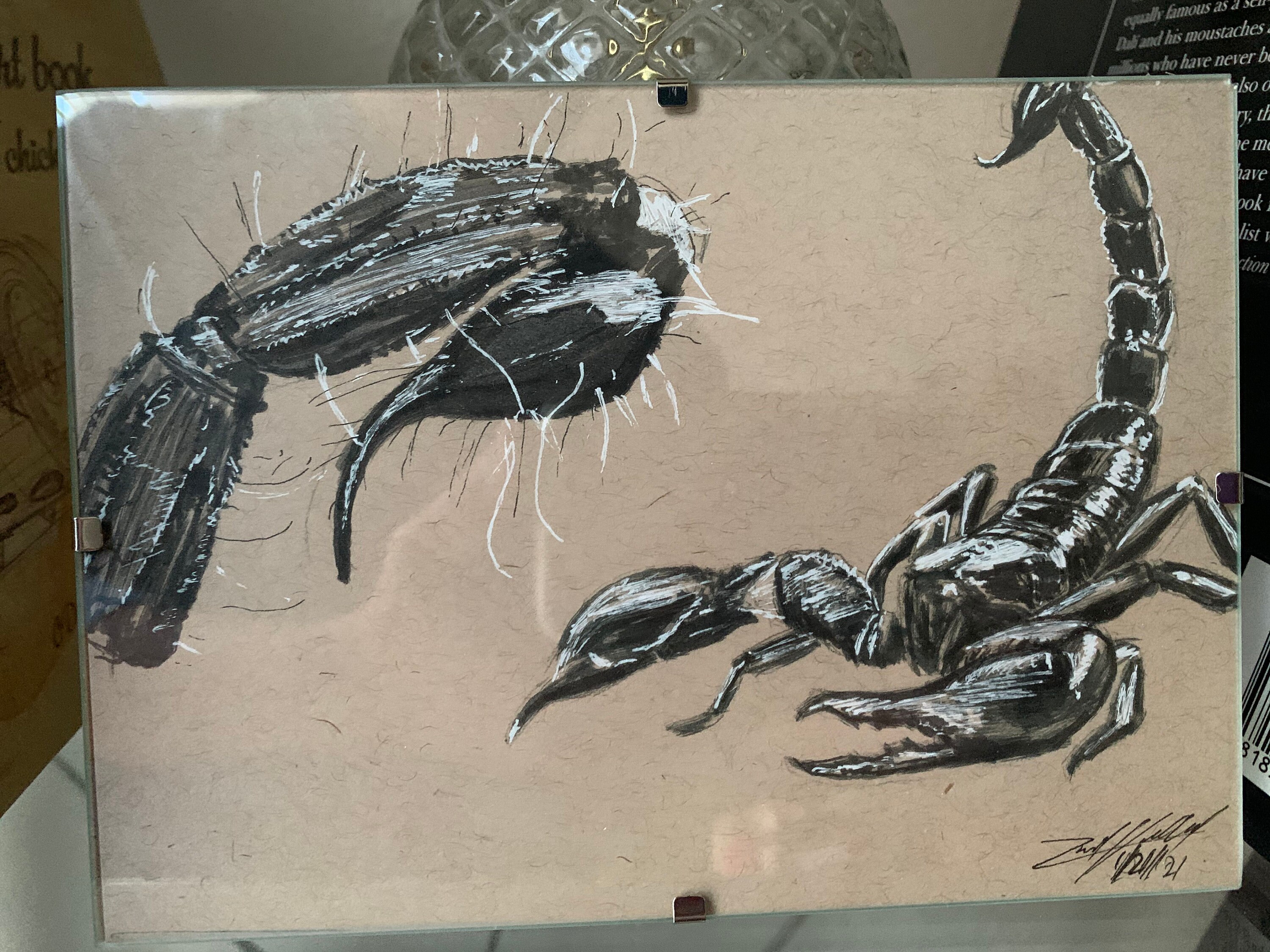 3d Scorpion Drawing