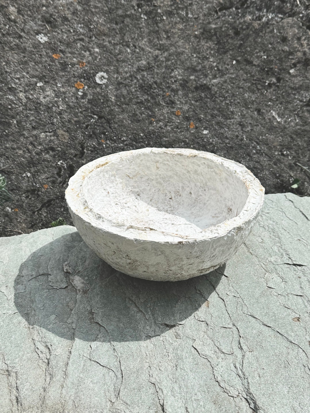 Mycelium Bowl - Grown Item - Mycelium Container - Oyster Mushroom ...