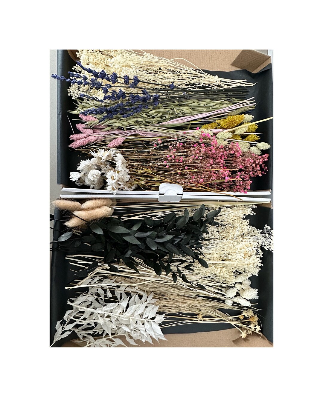 Dried Flower Box DIY Set Dried Flower Mix in Different Colors Dried ...