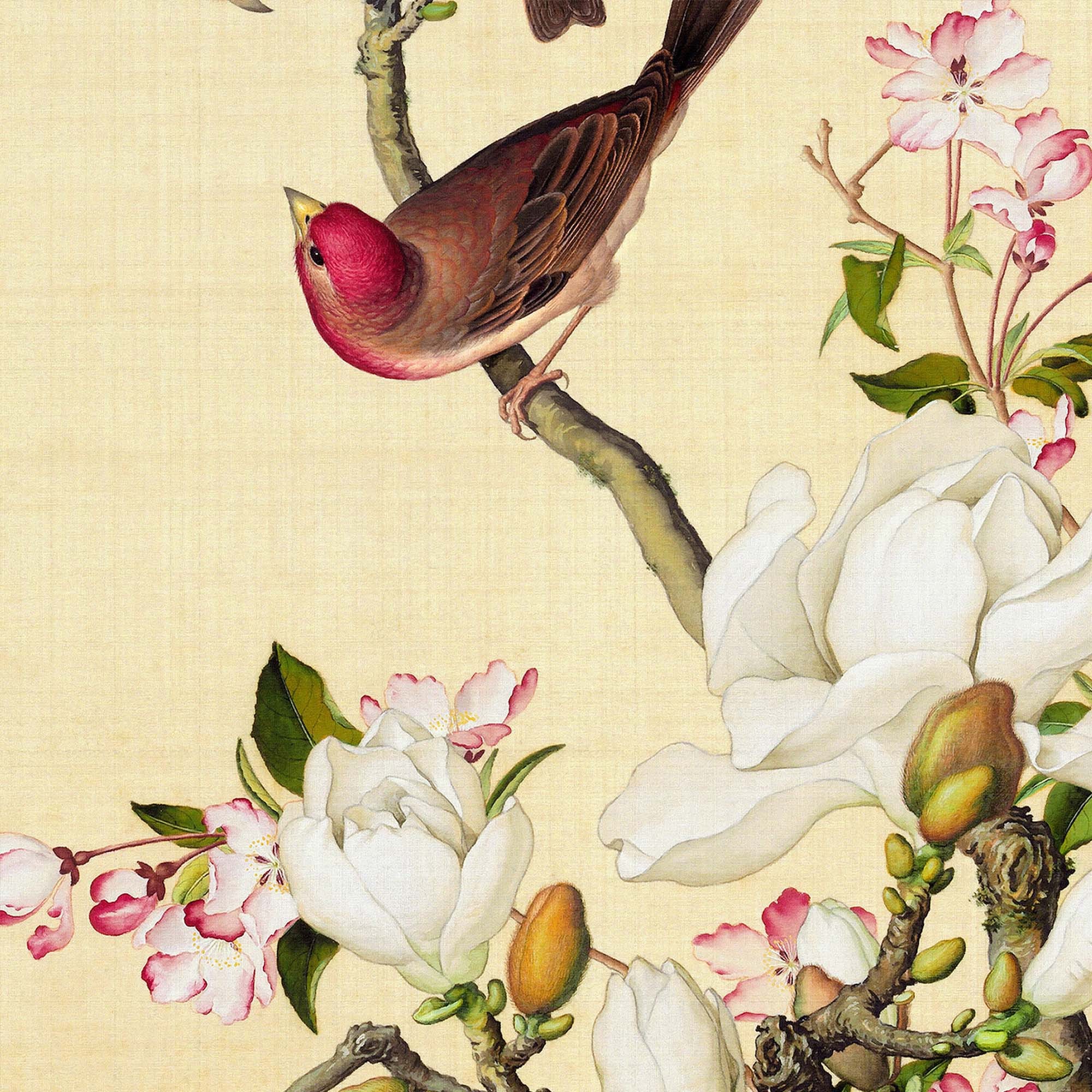 Birds / Antique Chinese Birds Painting by Giuseppe Castiglione 1688 ...