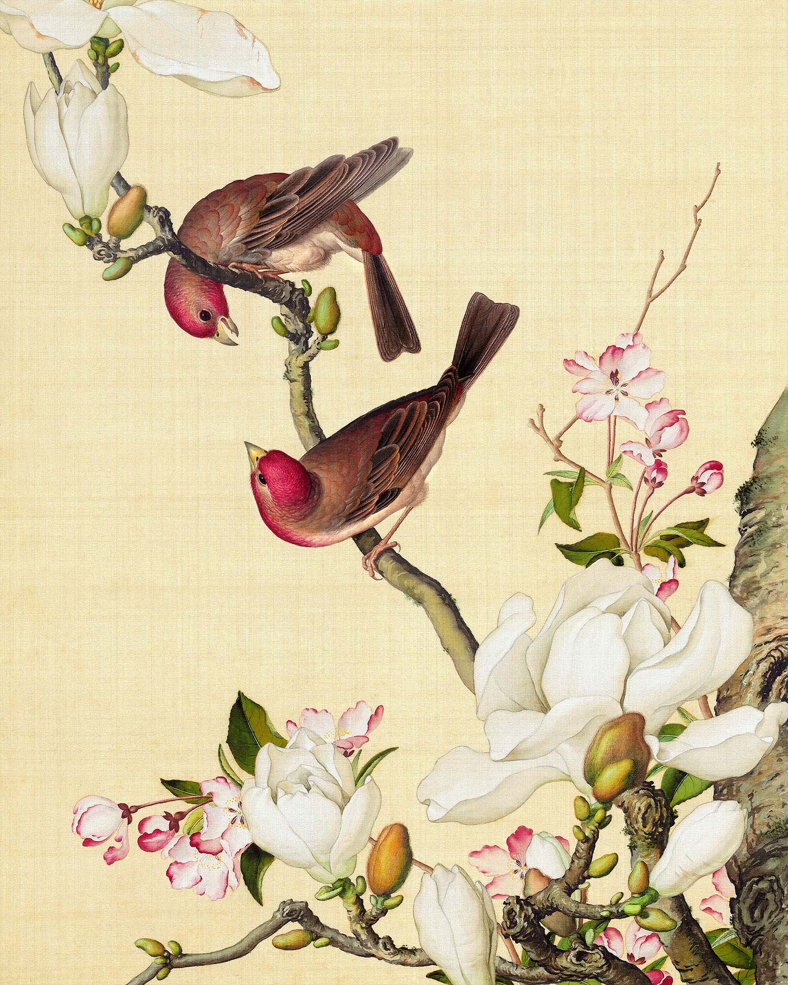 Birds / Antique Chinese Birds Painting by Giuseppe Castiglione 1688 ...