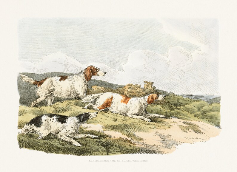 Antique Dog Prints. Illustrations of Hounds on the Hunt From - Etsy