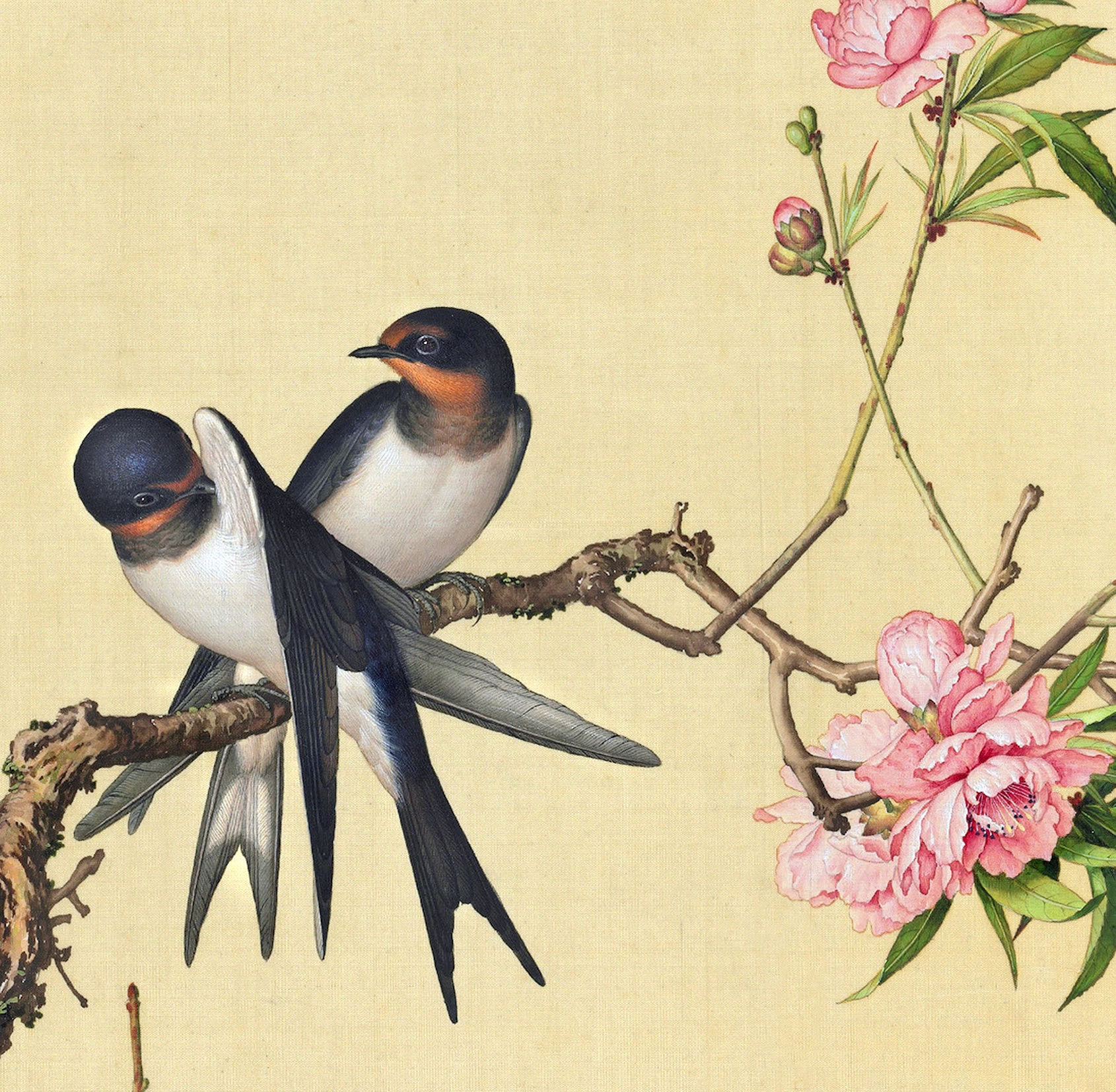 Chinese Birds