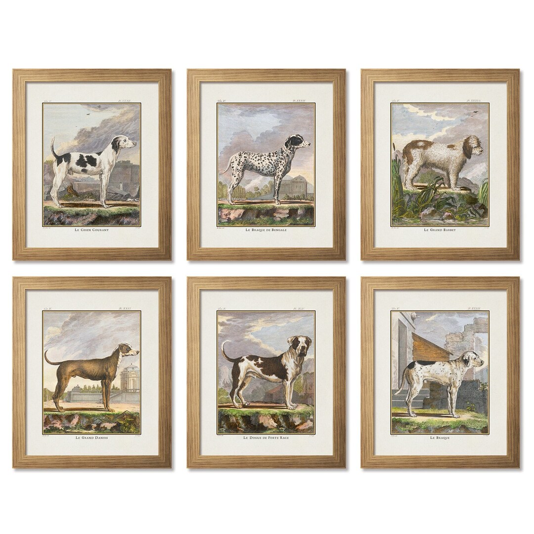 Vintage Dogs Print Set #1. Dog Breeds. Antique Dog Prints of the Book ...