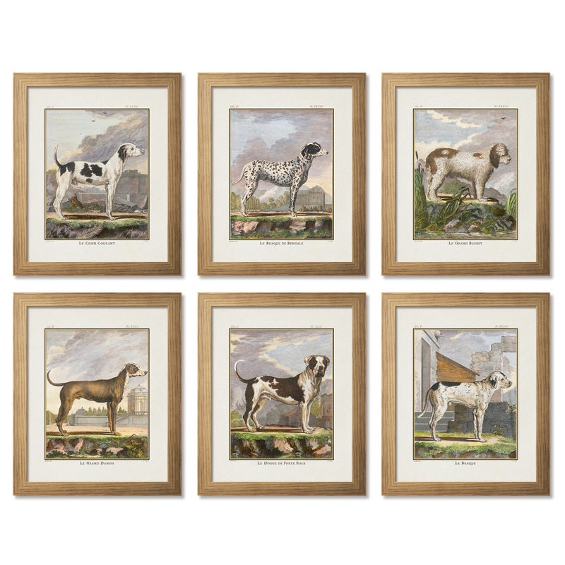 Antique Dog Prints - Etsy