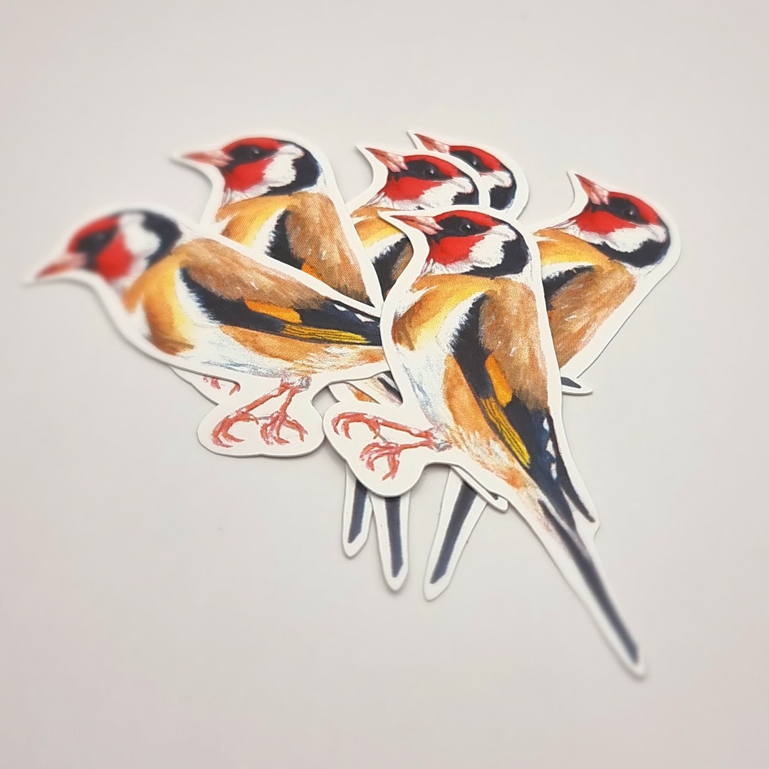 Finch Vinyl Sticker - Etsy