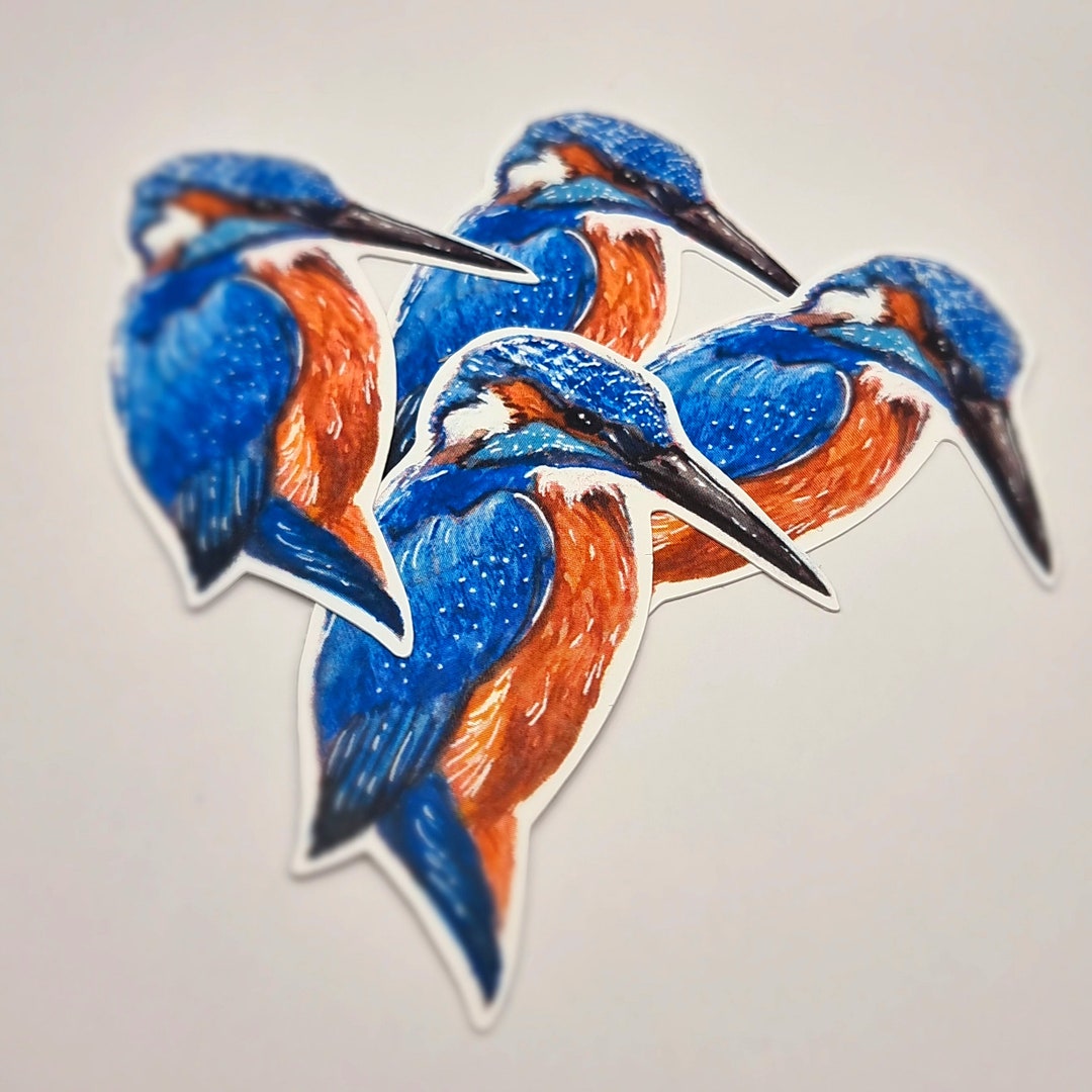 Kingfisher Vinyl Sticker - Etsy