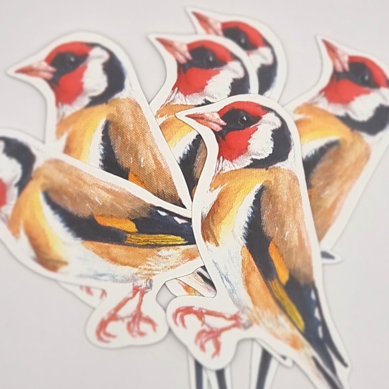Finch Vinyl Sticker - Etsy