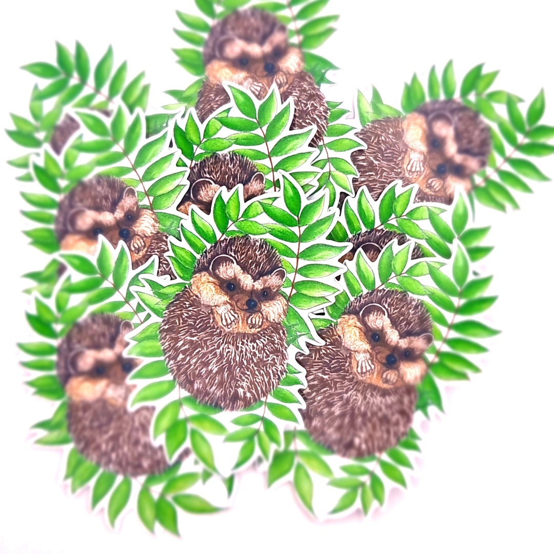Porcupine Vinyl Sticker - Etsy