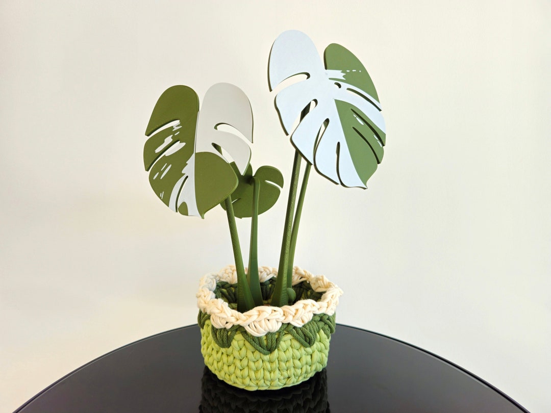 Monstera Coaster Plant, Coaster Plant With Magnets, Monstera Plant ...
