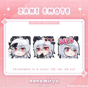 Wuwa Zani Sticker - Etsy