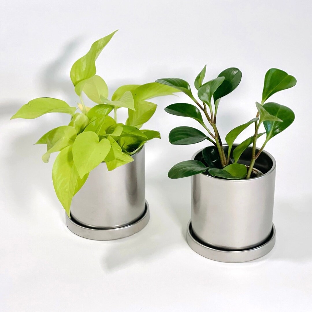 Minimalist Ceramic Planter in Metallic Silver Finish | Tabletop Planter ...