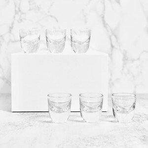 Modern Mini Bullet Shot Glass Set of Six Perfect Housewarming Party ...