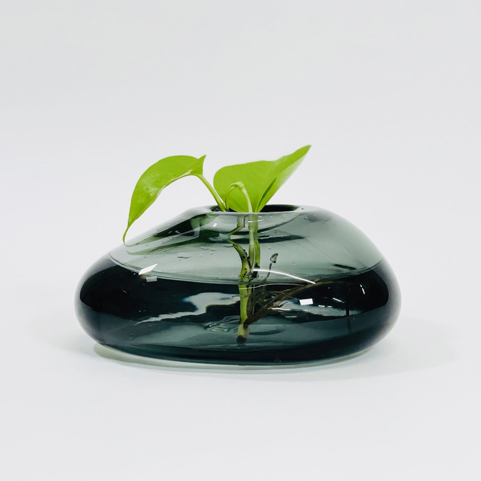 Modern Gradient Glass Flower Vase/ Decorative Hand Blown Glass - Etsy