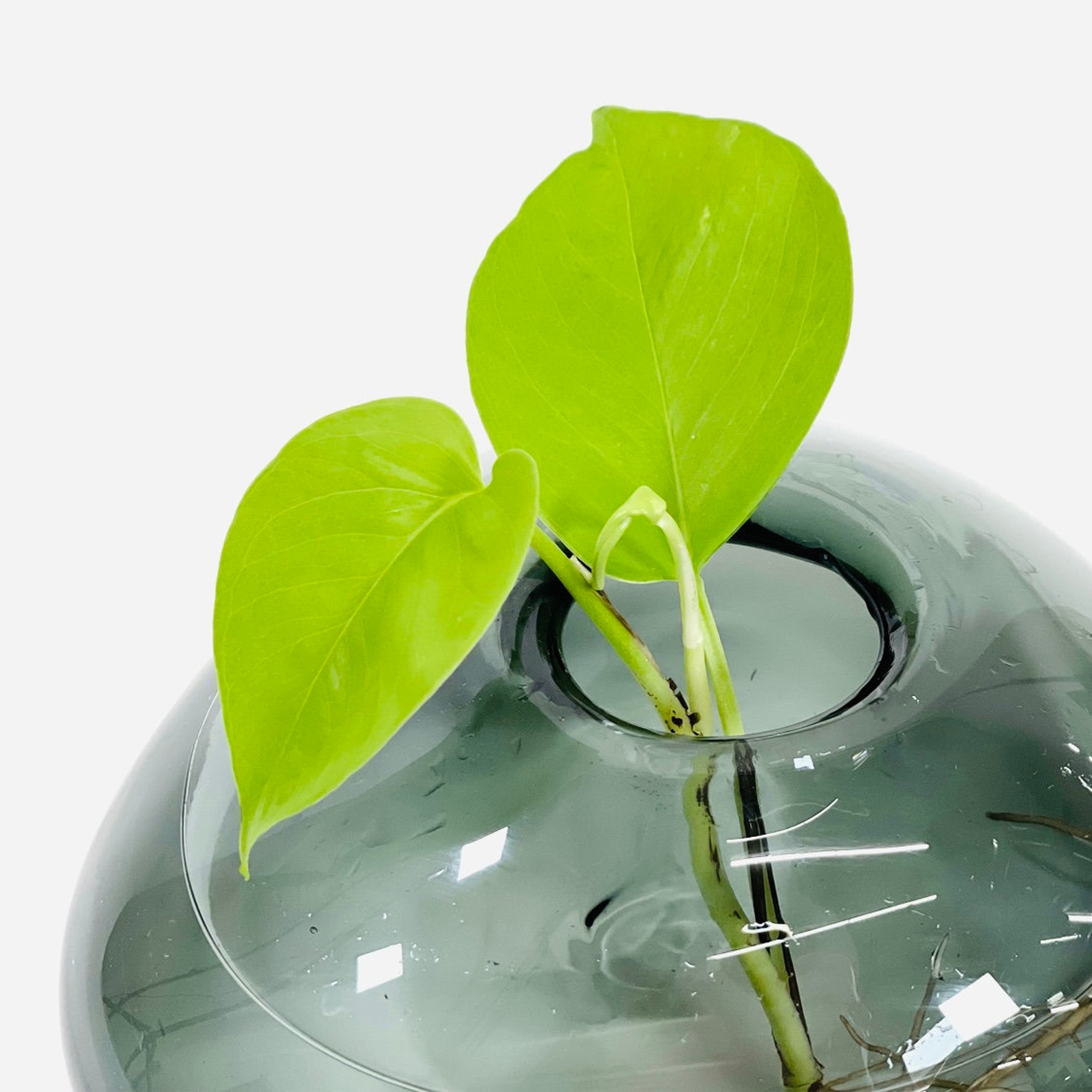 Modern Gradient Glass Flower Vase/ Decorative Hand Blown Glass - Etsy